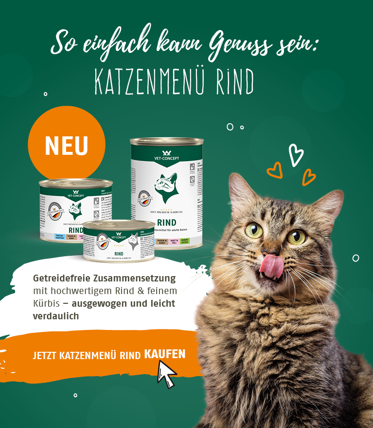 Gesundes Tierfutter für Hunde & Katzen